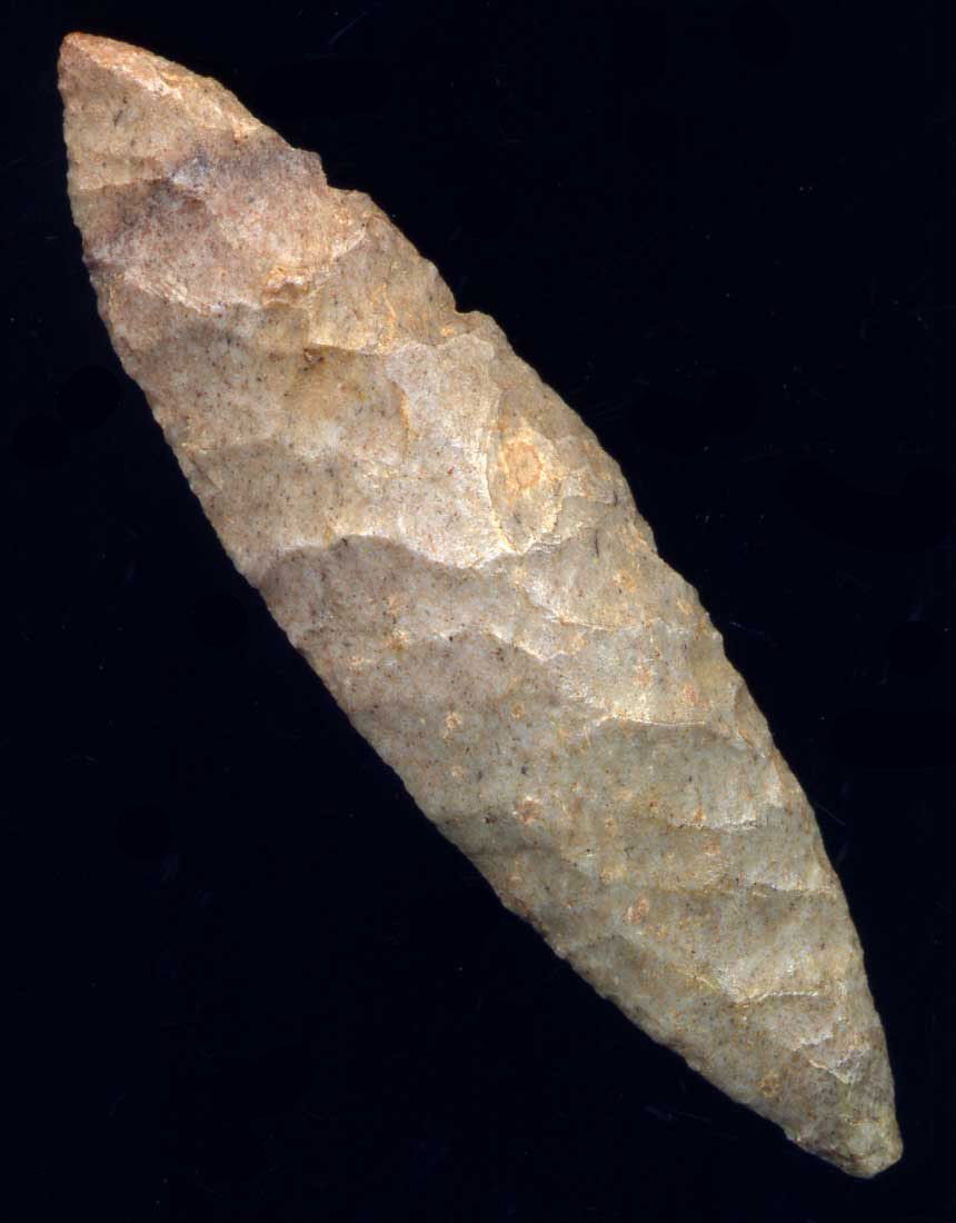 Penbrandt Prehistoric Artifacts - Archives - Nodena